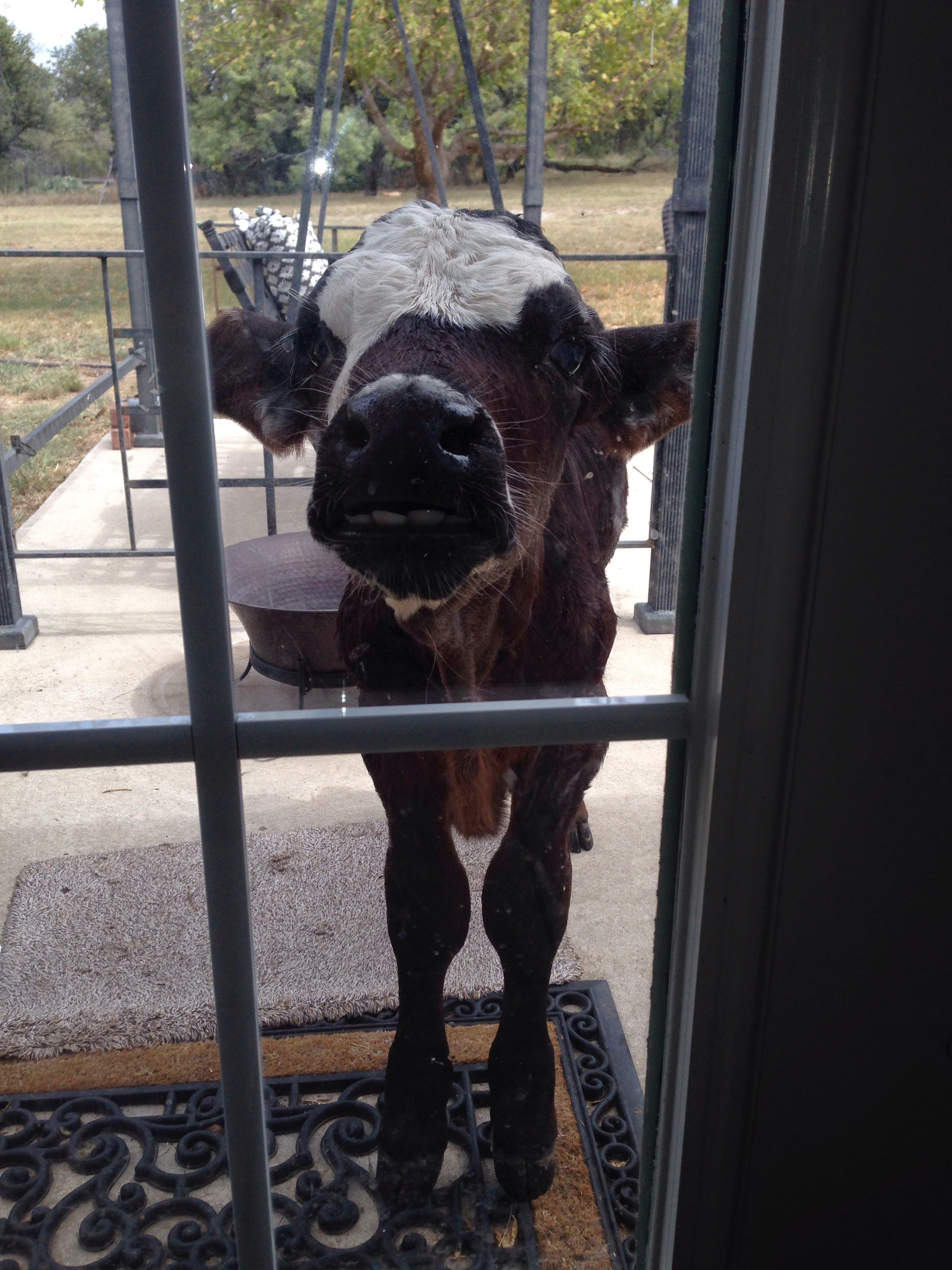 About – Story Mill Ranch